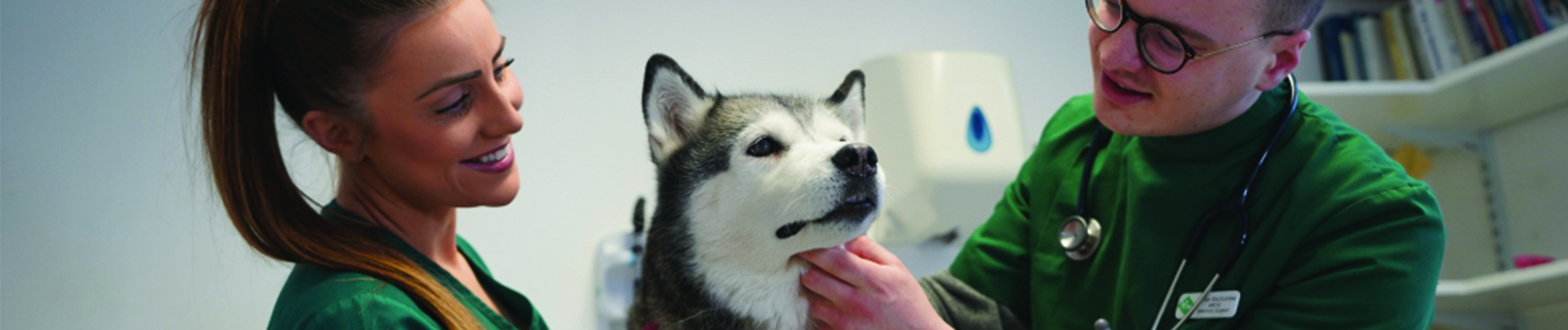 Preventative Healthcare | Parish Lane Vets