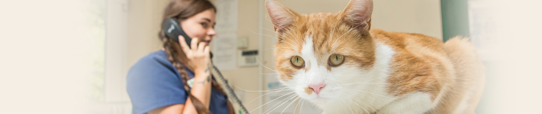 Parish Lane Vets Meet Our Parish Lane Vets Team | Parish Lane ...