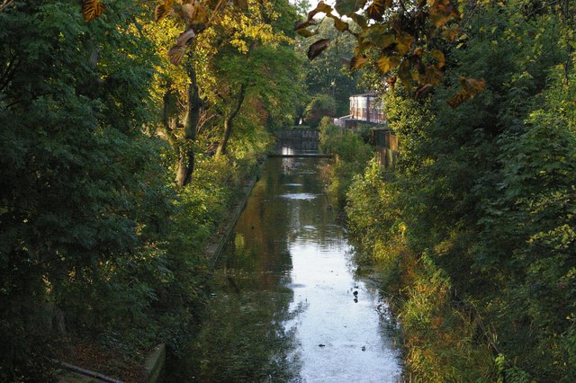 Pet Friendly Guide To Penge | Parish Lane Vets